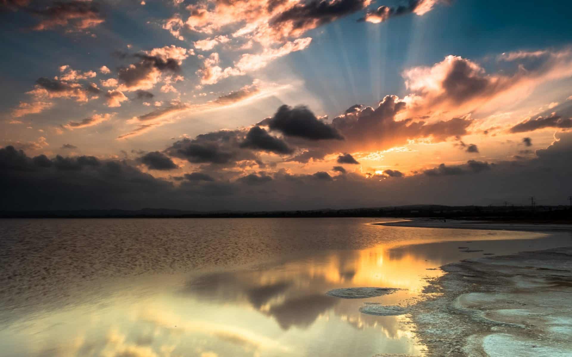 Los Montesinos - Información Oficial y Servicios Locales